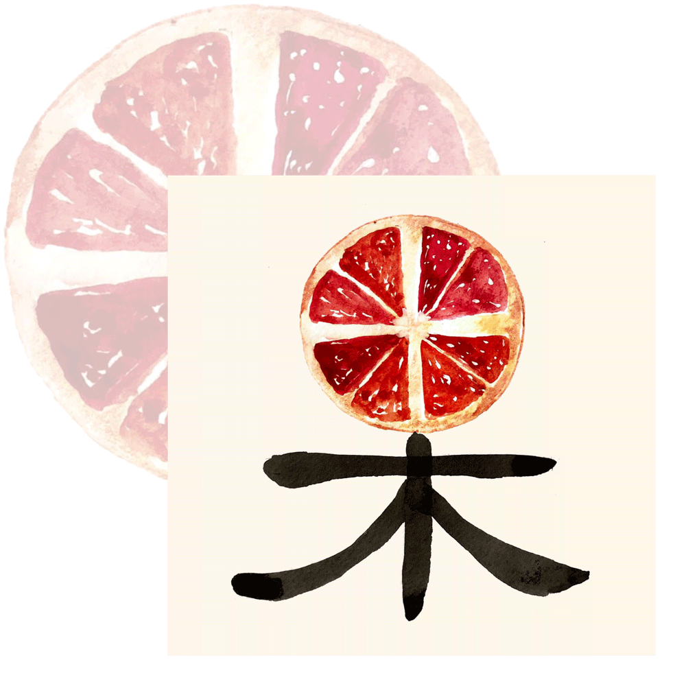 The easiest way to learn & memorize - 一起汉字 YiQi Hanzi
